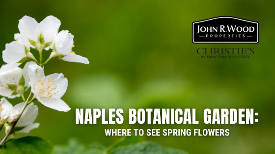 Naples Botanical Garden: Where to See Spring Flowers - John R Wood Christie's International Real ...