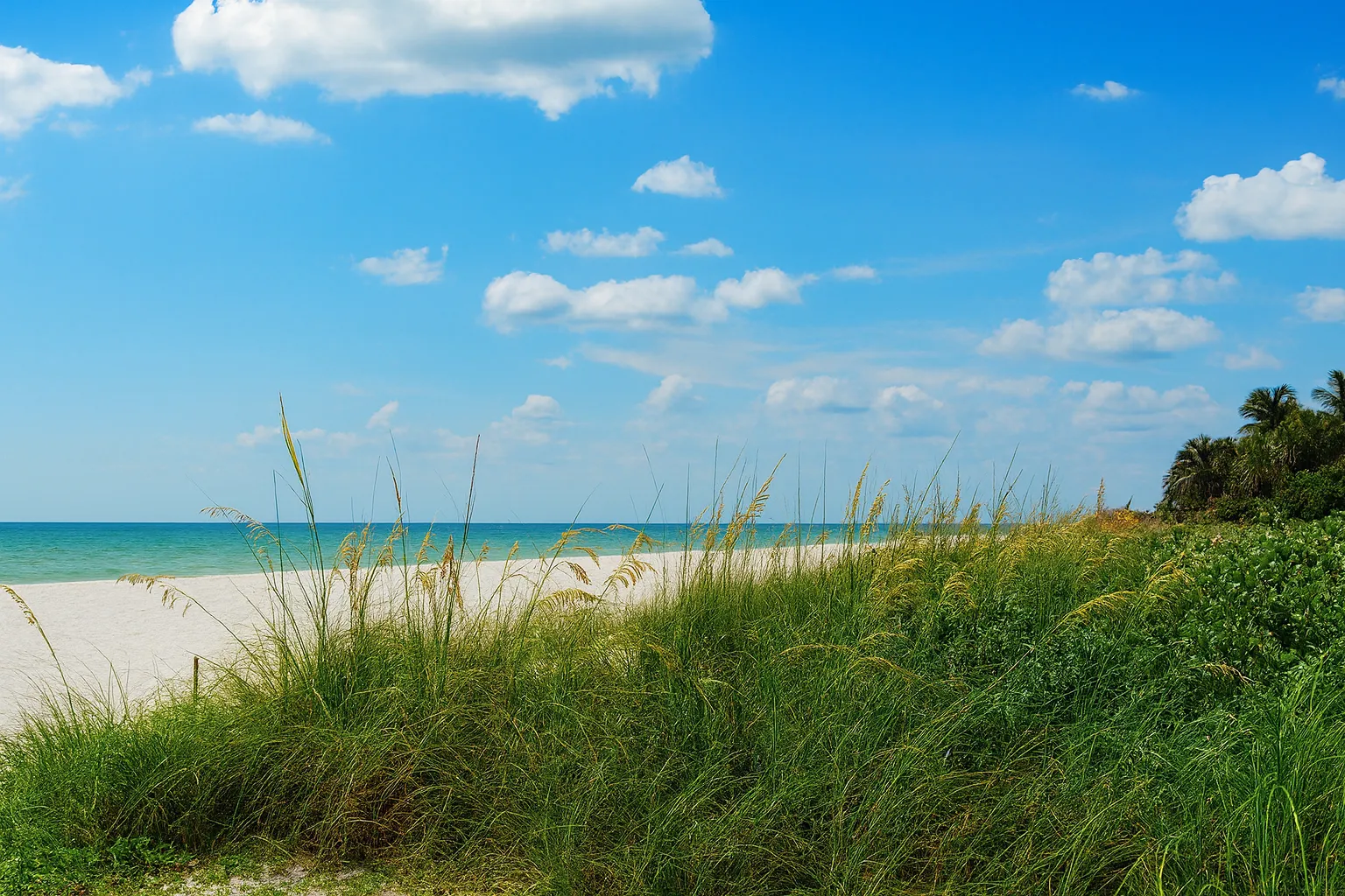 Luxury Homes for Sale in Chateaux Sur Mer | John R Wood Christie's ...