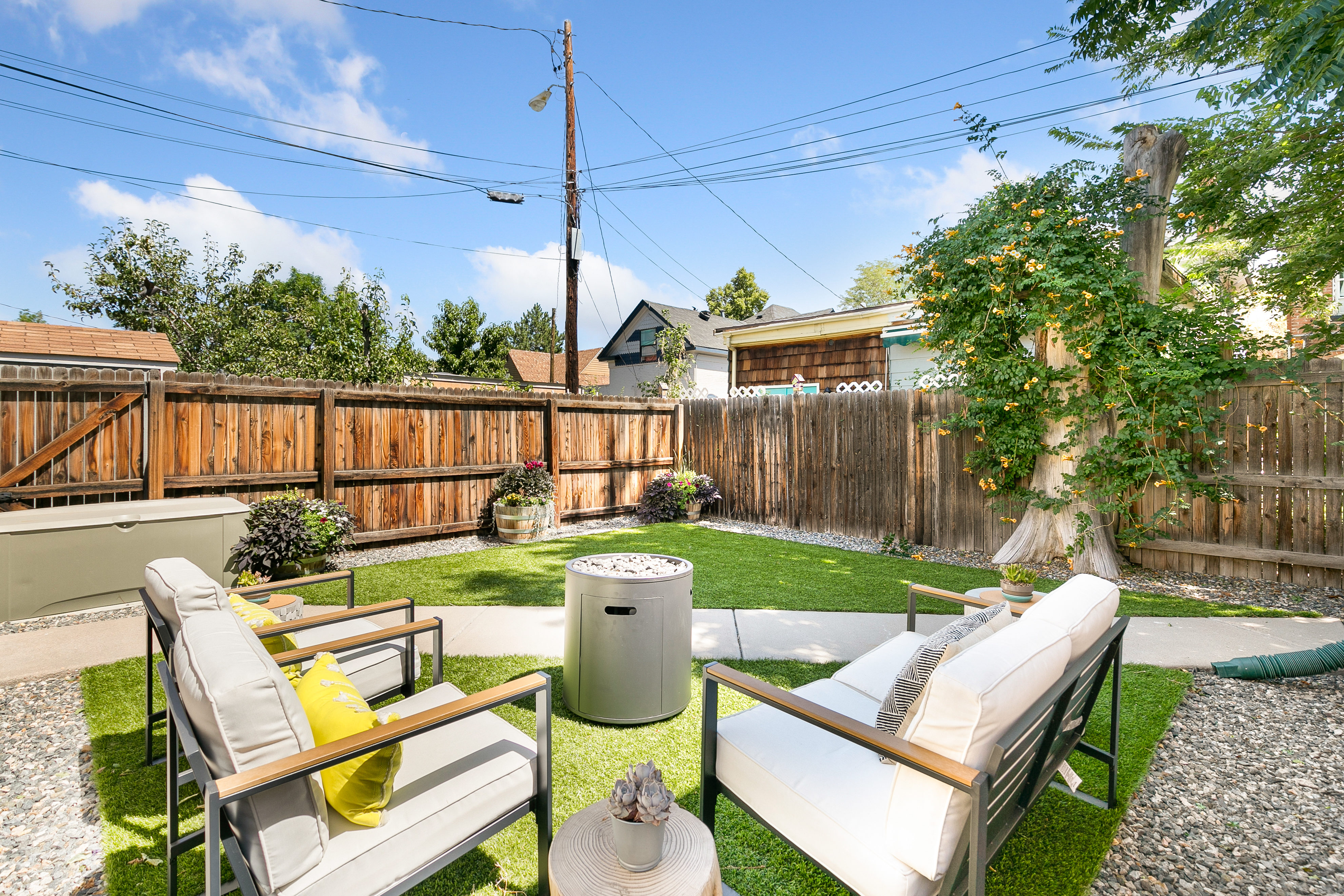 mint lawn alternative