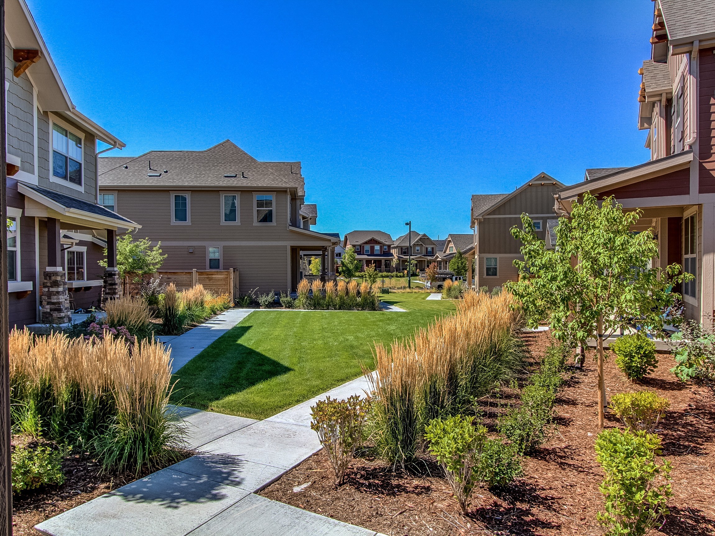 The Renaming of Stapleton - How and Why the Stapleton Name Change Came ...