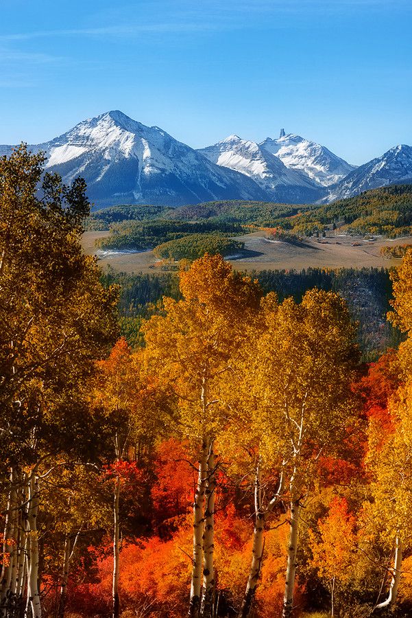 Best Scenic Drives in Colorado to Check Out the Changing Leaves ...
